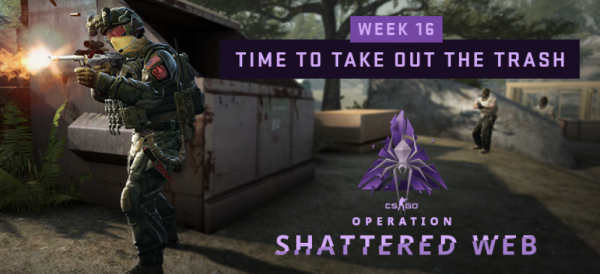Week 16 | OPERATION SHATTERED WEB